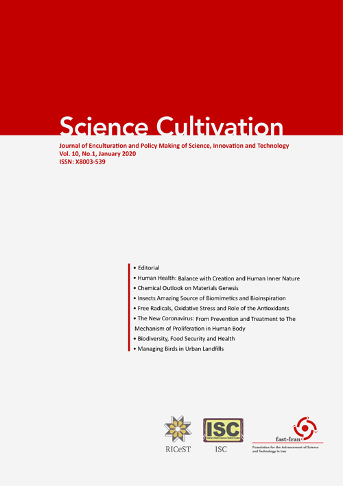 Insects Amazing Source of Biomimetics and Bioinspiration